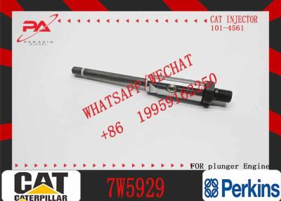 중국 공장 가격 Caterpillar CAT 330B 350L 엔진을 위한 플랑저 7W5929 3304 3306 플랑저 요소 7W5929 디젤 엔진 조립 판매용