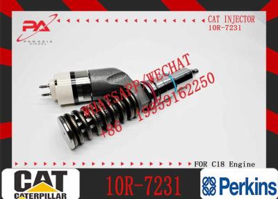 Cina Iniezione di carburante per motore C15 10R-0958 10R-8502 10R-7231 211-3025 Caterpillar in vendita