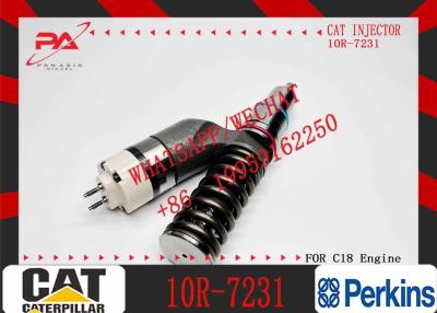 Cina Iniezione di carburante per motore C15 10R-0958 10R-8502 10R-7231 211-3025 Caterpillar in vendita