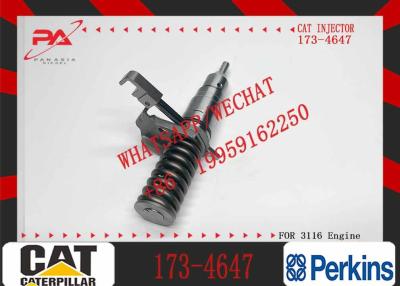 Cina 173-4647 1734647 Iniettori per motori Common Rail per motori Caterpillar Cat in vendita
