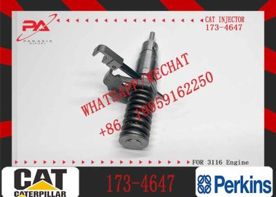 Cina 173-4647 1734647 Iniettori per motori Common Rail per motori Caterpillar Cat in vendita