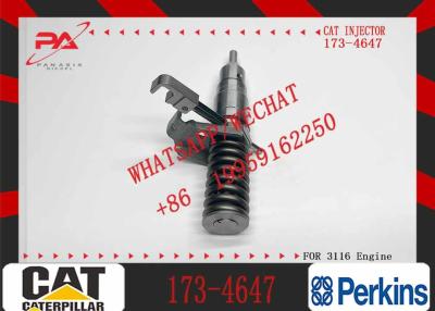 Cina 173-4647 1734647 Iniettori per motori Common Rail per motori Caterpillar Cat in vendita