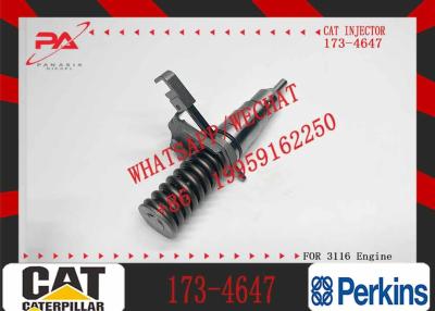 Cina 173-4647 1734647 Iniettori per motori Common Rail per motori Caterpillar Cat in vendita