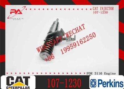Китай Горячая продажа Инжектор дизельного топлива 101-8673 107-7733 107-1230 127-8205 127-8207 127-8209 для CAT 3116 Инжектор Автозапчасти продается