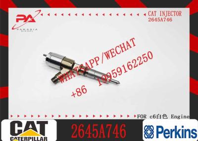 China cat 320d Einspritzer 10R7671 320-0677 2645A746 Dieselinspritzer für Caterpillar-C6.6-Motoren zu verkaufen