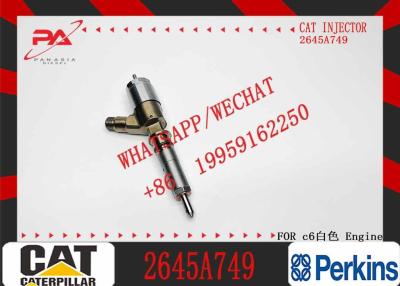 China Diesel Common Rail Kraftstoff-Injektor 320-0690 2645A749 zu verkaufen