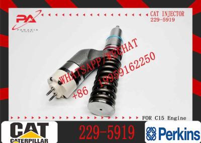 China 10R-1000 10R1000 229-5919 Inyector de combustible para el CAT de Caterpillar en venta