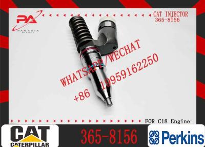 China Inyector de combustible diésel de gran calidad 365-8156 211-3027 10R-2772 295-9085 para CAT C18 en venta