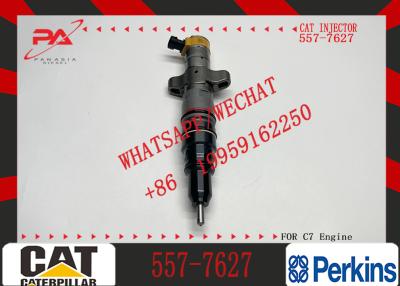 China Inyector de motor diesel 20R-8067 557-7627 243-4503 20R-9079 2OR-8071 328-2582 295-9166Para el tren común Caterpillar C7 en venta
