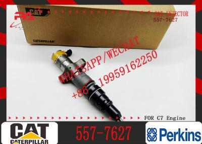 China Injector Replacement Repair Parts OEM 20R-8066 557-7627 20R-9079 328-2582 387-9441 328-2587 for Caterpillar Spares for sale