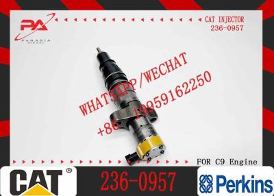 China Cat C9 Injector 387-9439 172-5780 293-4071 387-9484 236-0957 293-4072 for Caterpillar for sale