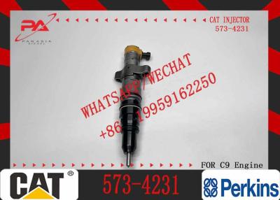 China New Condition Excavator Parts C9 Diesel Fuel Injector 573-4231 20R-8064 293-4072 20R-8846 20R-8065 11R-1582 for C9 for sale