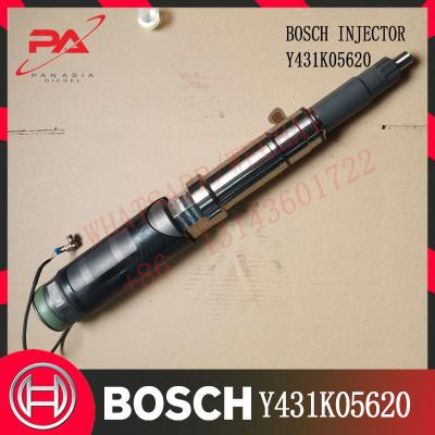 中国 ディーゼル共通の柵の燃料噴射装置Y431K05620 DS-289708 Y431-K05-620 Y431K05620 販売のため