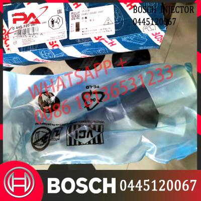 중국 볼보 굴삭기 20798683을 위한 연료 분사 공통 레일 연료 인젝터 04290987 0445120067 판매용