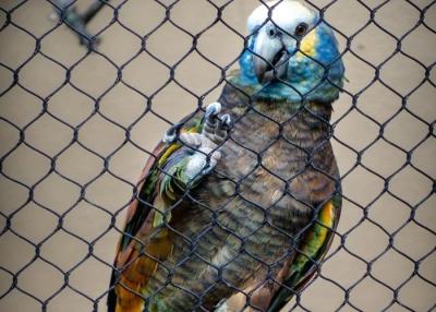 Cina 316 Acciaio inossidabile tessuto a filo ferrule rete di corda per uccelli zoo in vendita