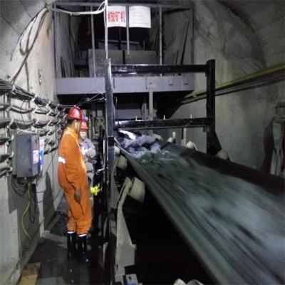 China Metal detector in cement plant/Power plant for sale