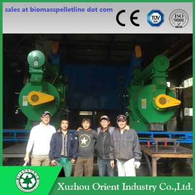 China TN-Patent  Energy Saving  Biomass Ring Die Wood Pellet Machine with Factory Supply for sale