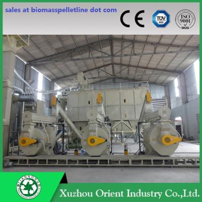 China Biomass Pellet Fuel Production Line/Biomass Pellet Plant/Pellet Plant for sale