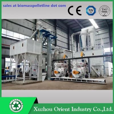 China Complete Biomass Wood Pellet Mill Production Line/Wood Pellet Making Line/Pellet Line for sale