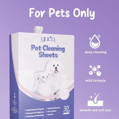 Cina Eco-friendly Pet Sheet pulito innocuo delicato biodegradabile personalizzabile in vendita