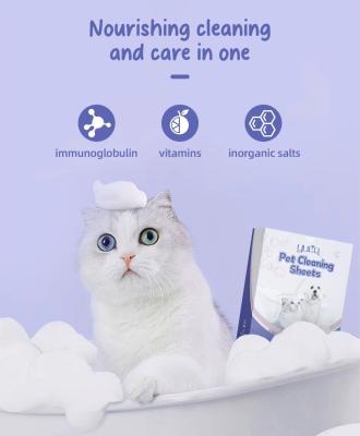 Cina Eco-friendly Pet Sheet pulito innocuo delicato biodegradabile personalizzabile in vendita