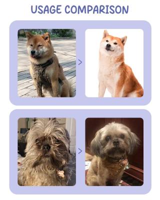 Cina Eco-friendly Pet Sheet pulito innocuo delicato biodegradabile personalizzabile in vendita