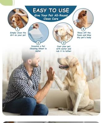 Cina Lenzuola extra spessa per animali domestici Lenzuola usa e getta per cani per interni in vendita
