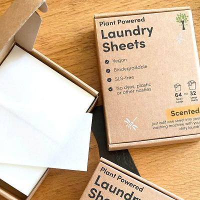 China Eco-friendly Biodegradable Pure Natural Plant Laundry Detergent Sheets for sale