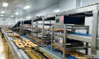 China PLC Control Automatic Bread Production Line Suction Depanner Step Proofer 100pcs/min for sale
