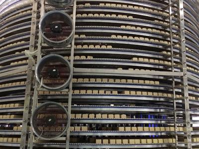 Cina Trasportatore di raffreddamento di spirale di rimozione delle scorie di pulizia a vapore di industria alimentare in vendita