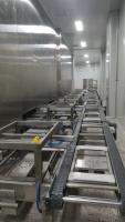 China Hygienic Butter Bun Bread Proofer System with High Capacity and Precise Temperature Control for Automated Production Lines for sale