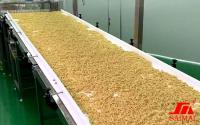 China ISO9000 Certified High Capacity Granola Production Line with Mixer, Oven & Cooling System for sale