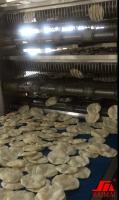 China ISO 9000 Flat Bread Production Line with Adjustable Thickness and Multi-Tier Tunnel Oven for Pizza, Pita, Tortilla Manufacturing for sale