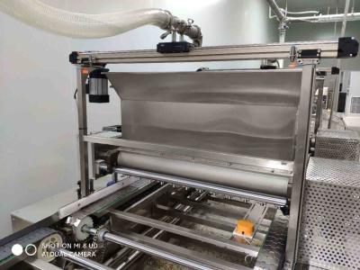 Cina Tunnel Oven Automatic Cake Production Line dell'isolamento del CE 300KG/H 25CM in vendita