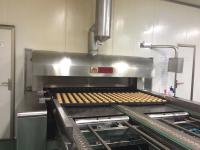 China Continuous Multi-Layer Cooling Suction Depanner Cupcake Production Line with 15-130cc Depositor and 2m Oven Sections for sale