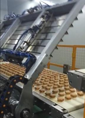 China Papercup Dispenser FDA Belt Conveyor Automatic Cake Production Line for sale