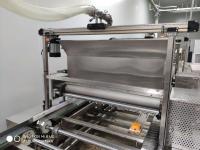 China Continuous Multi-Layer Cooling Suction Depanner Cupcake Production Line with 15-130cc Depositor and 2m Oven Sections for sale