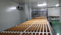 China Continuous Multi-Layer Cooling Suction Depanner Cupcake Production Line with 15-130cc Depositor and 2m Oven Sections for sale