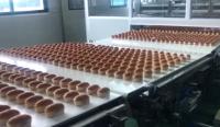 China Robot Depanner Continuous Hygiene Automatic Bread Production Line 200-600 kg/h for sale