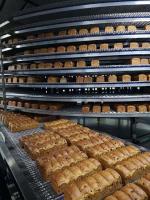 China CE 220V Central Drum Driven Spiral Cooling Tower for Bakery - Custom 650mm Width Conveyor System for sale