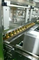 China ISO Special Purposed Push Type Vacuum Cake Depanner for Flat Pan Baked Goods with Frequency-Controlled Drive for sale