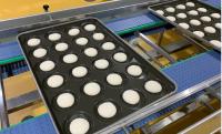 China Continuous Multi-Step Dough Proofer Machine - Automated Bread Fermentation System with Temperature & Humidity Control for sale