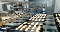 China Vertical In-Line Automatic Continuous Bread Dough Proofer - Custom Capacity, Temperature & Humidity Control for Industrial Bakeries for sale