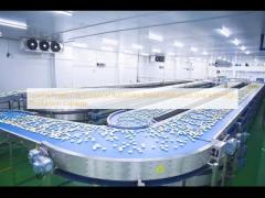 Lowest Power Consumption Automatic Bread Production Line with High Production Capacity