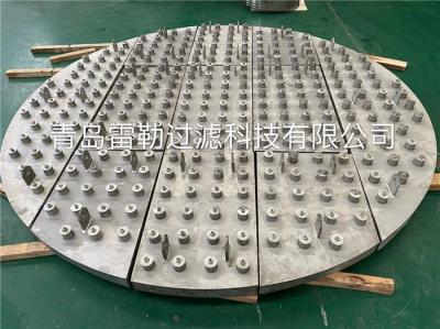 China Desalination SS316L 50mm Pressure Ion Exchanger Nozzles for sale