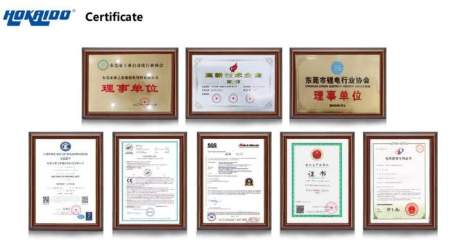 Air Cooling RV250y RV500y RV1000y RV2000y Roots Vacuum Pump as Prepump Forepump Backing Pump
