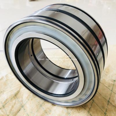China INA   Cylindrical Roller  Bearings     SL045026-PP-RR-GA22 for sale
