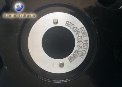 Cina L'asse idraulica del magnete 31,75 del motore rotativo 300cc 4 di LSHT con il SAE Ports in vendita