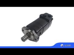 Serie BMK2 Geroler Orbital Motors 315ml/r 1740 PSI 19.81 GPM 2 tornillos Flange ovalado