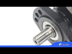 BMER-2-300-FH-SW Motore a grande velocità con una forza di movimento di 18,08 Kubikzoll